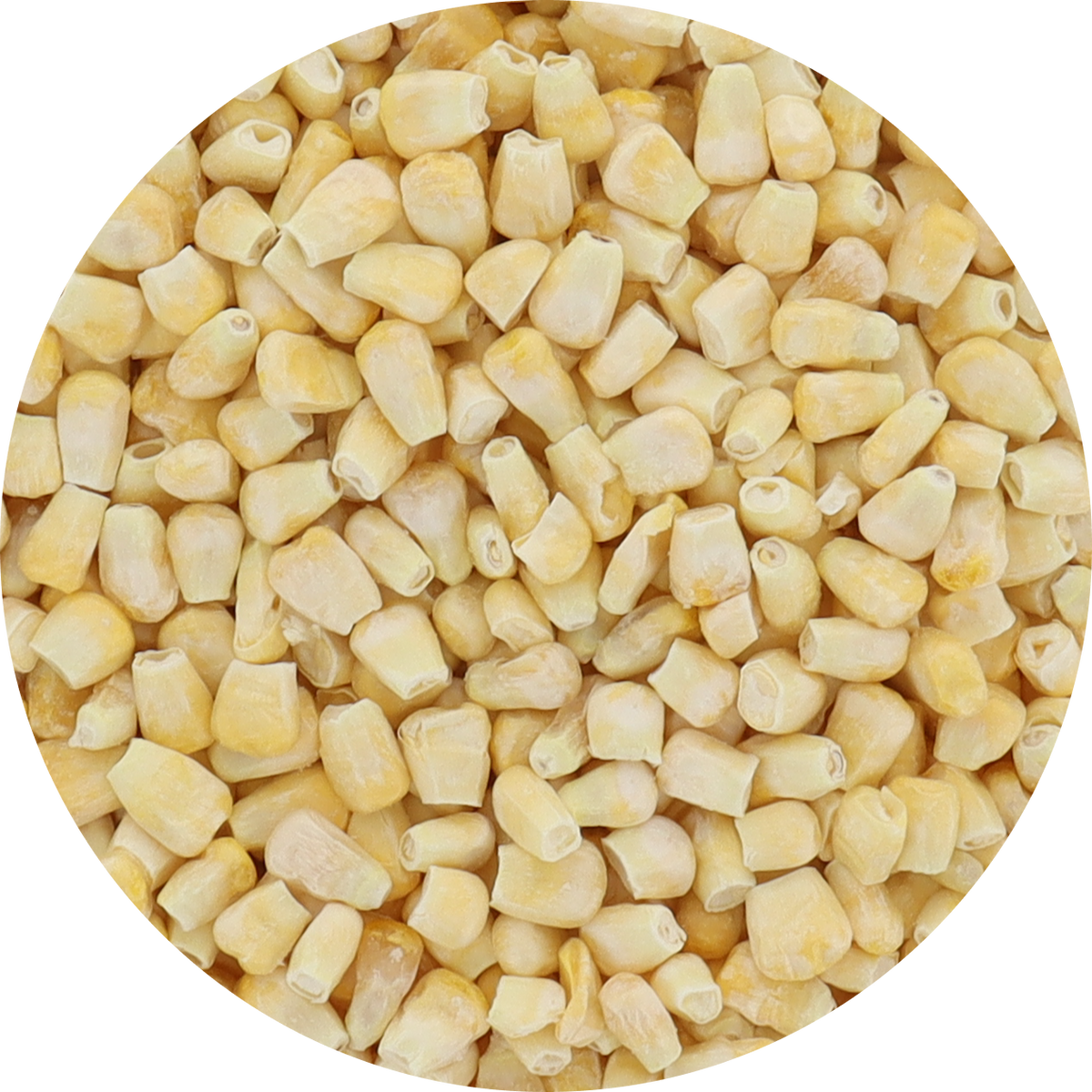 Freeze-Dried Yellow Corn | Arctic Farms